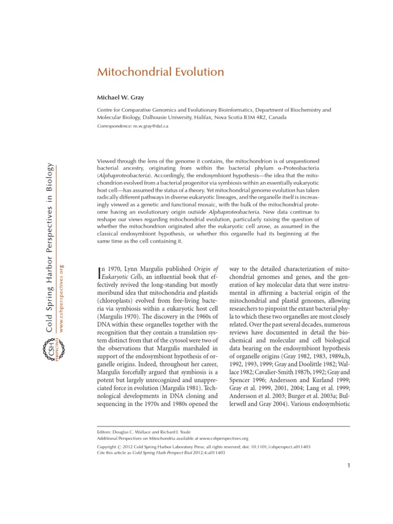 Mitochondrial Evolution cshperspect-MIT-a011403 | PDF | Eukaryotes ...