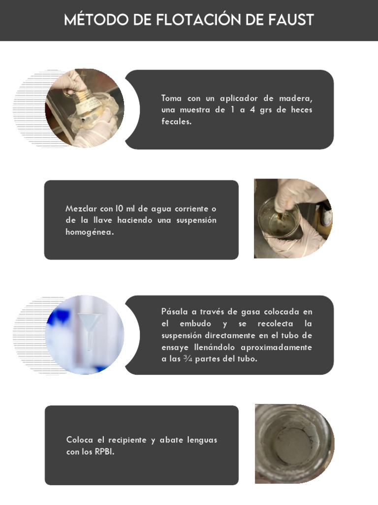 Esquema de Practica 4 | PDF