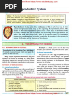 8th ICSE | PDF