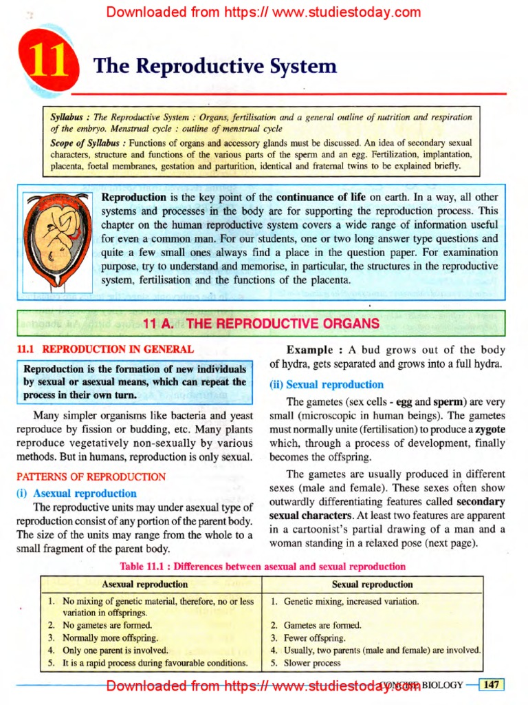 ICSE Class 10 Biology Chapter 11 The Reproductive System | PDF