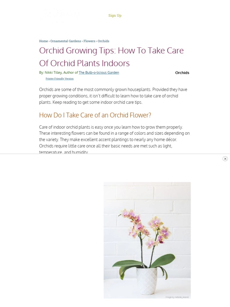 Indoor Orchid Care - How Do I Take Care of An Orchid Flower | PDF ...