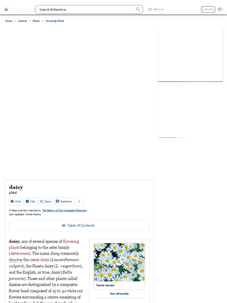 Daisy _ Description, Types, Examples, & Facts _ Britannica | PDF ...