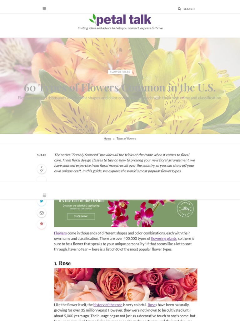 Types of Flowers, 60 Different Kinds of Flowers - Petal Talk | PDF ...