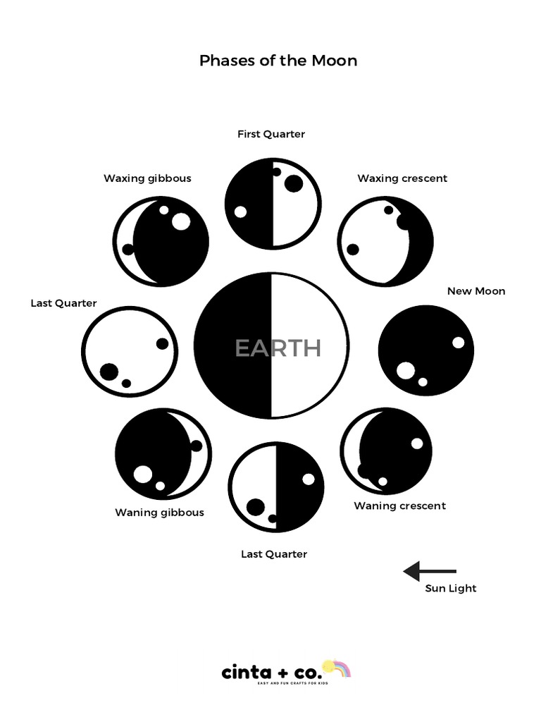 Phases of The Moon | PDF