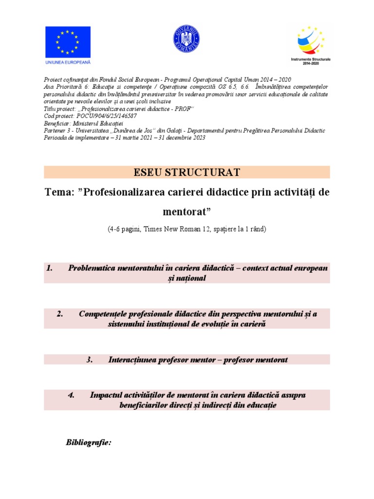 Eseu Structurat - MENTORAT | PDF