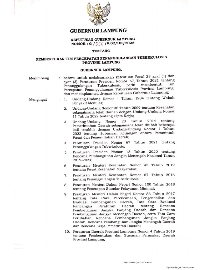 SK Tim Percepatan Penanggulangan TBC Provinsi Lampung | PDF