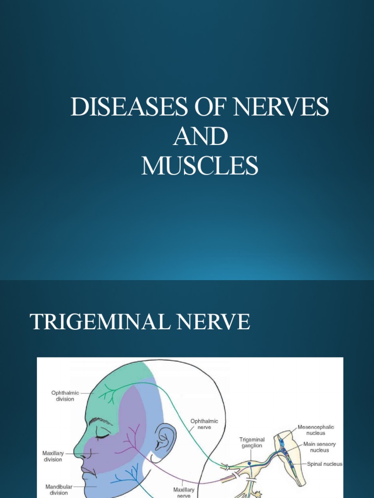 Trigeminal Neuralgia and Related Disorders | PDF | Human Diseases And ...