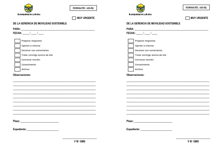 Formato Ad-01 - Proveido | PDF