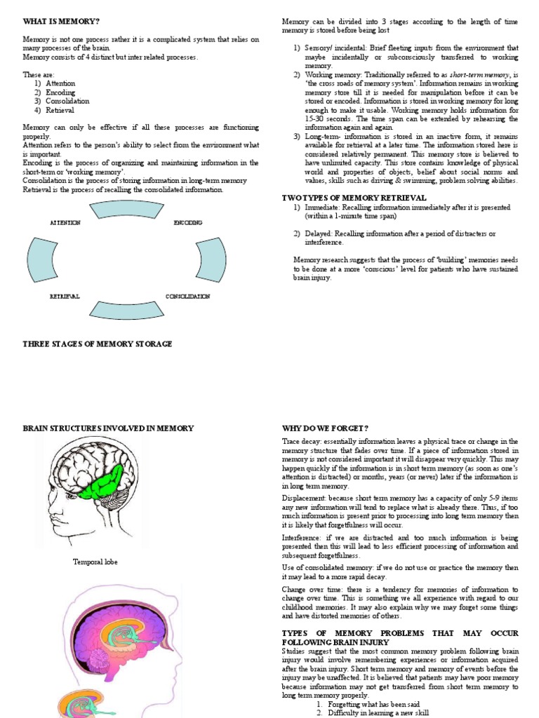 What Is Memory | PDF | Memory | Recall (Memory)