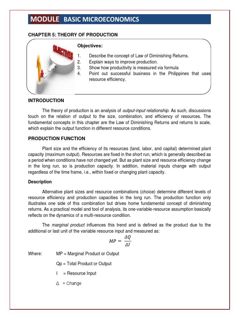 Theory of Production in Microeconomics | PDF | Production Function ...