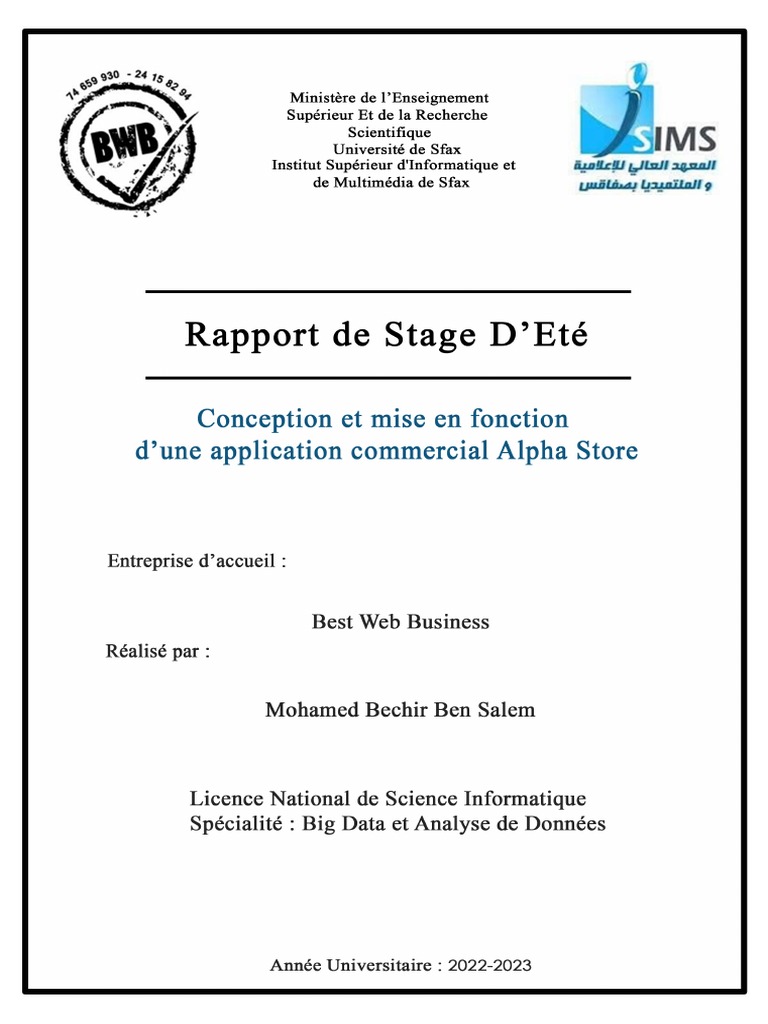 Rapport Site Web Commercial | PDF | Html | Internet