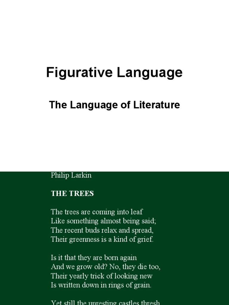 04 Figurative Language | PDF | Metaphor | Irony