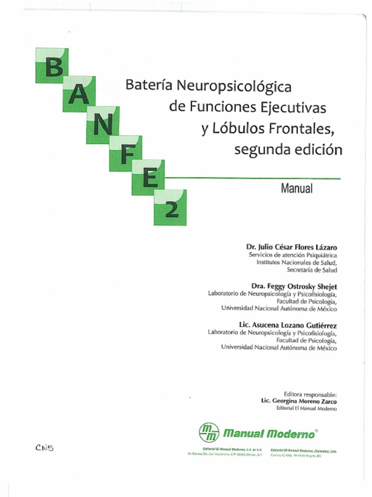Banfe 2 | PDF