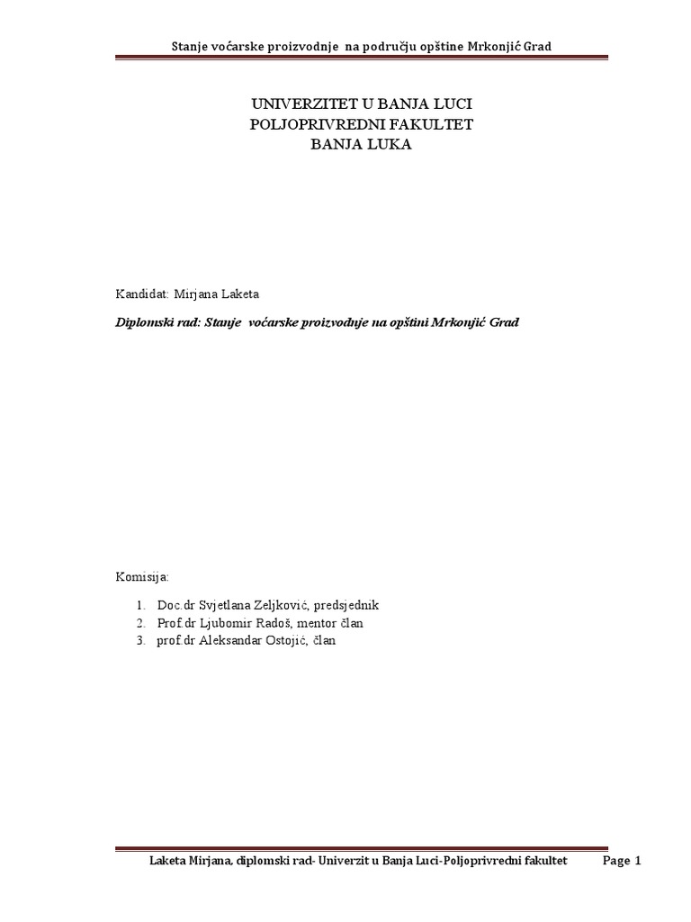 Diplomski Rad | PDF
