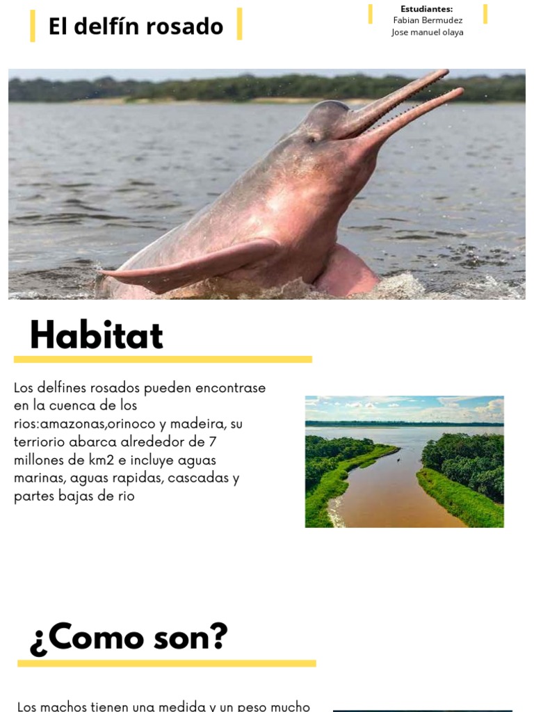 El Delfín Rosado | PDF | Ciencia y matemáticas
