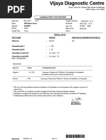 Blood Cancer Report | PDF