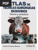 FAS Scale for Veterinary Assessments | PDF | Psychological Concepts ...