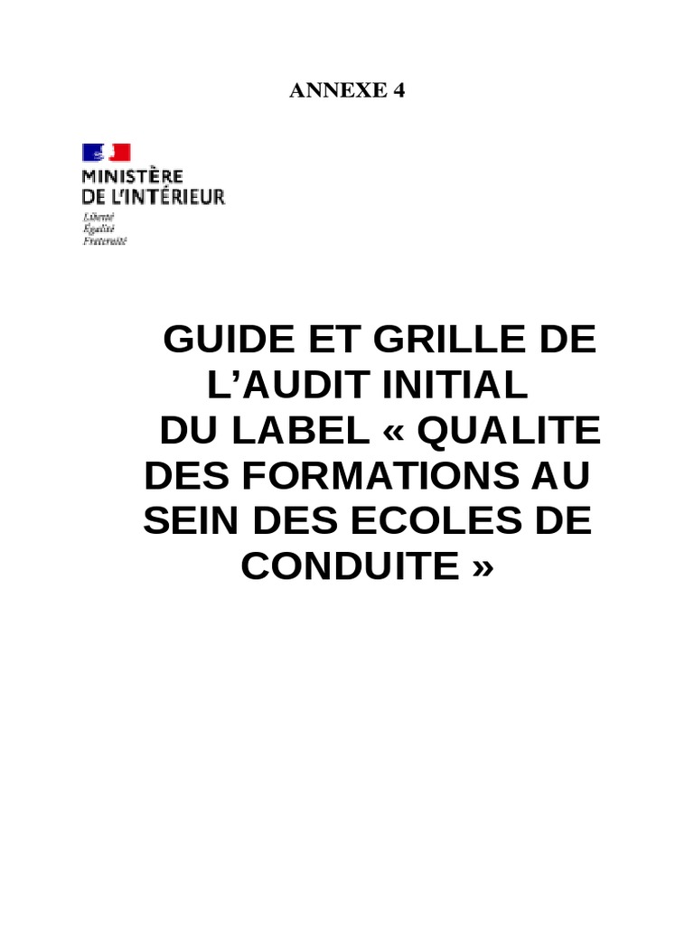 Annexe 4 - Guide Et Grille D'audit Initial | PDF | Audit