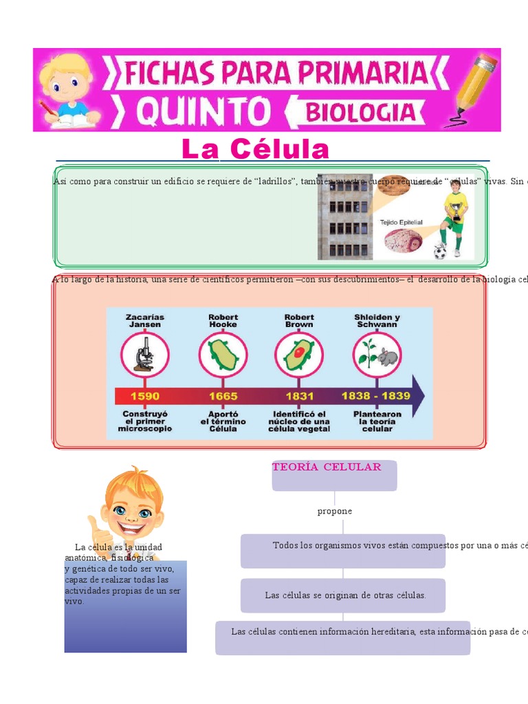 La Célula para Quinto de Primaria | PDF | Biología Celular) | Plantas