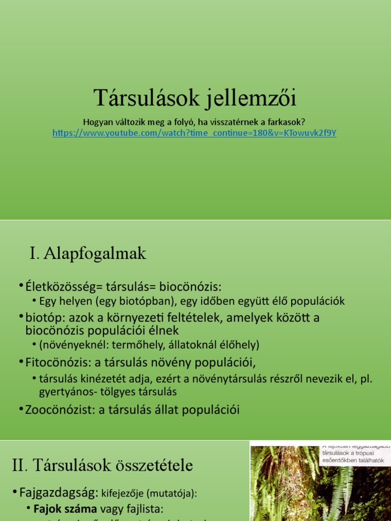 TÃ¡rsulÃ¡sok Jellemzå I | PDF