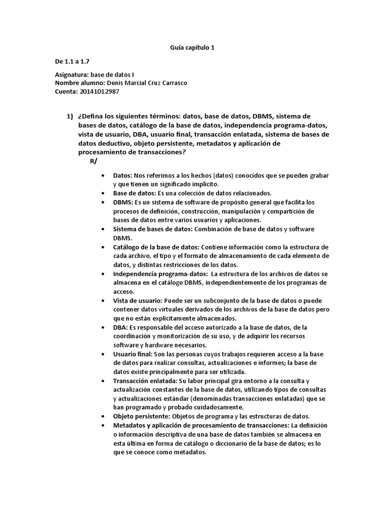 Guía Capítulo 1 | PDF | Bases de datos | Usuario (informática)