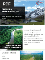 El Relieve Amazónico | PDF | Paisaje | Geomorfología