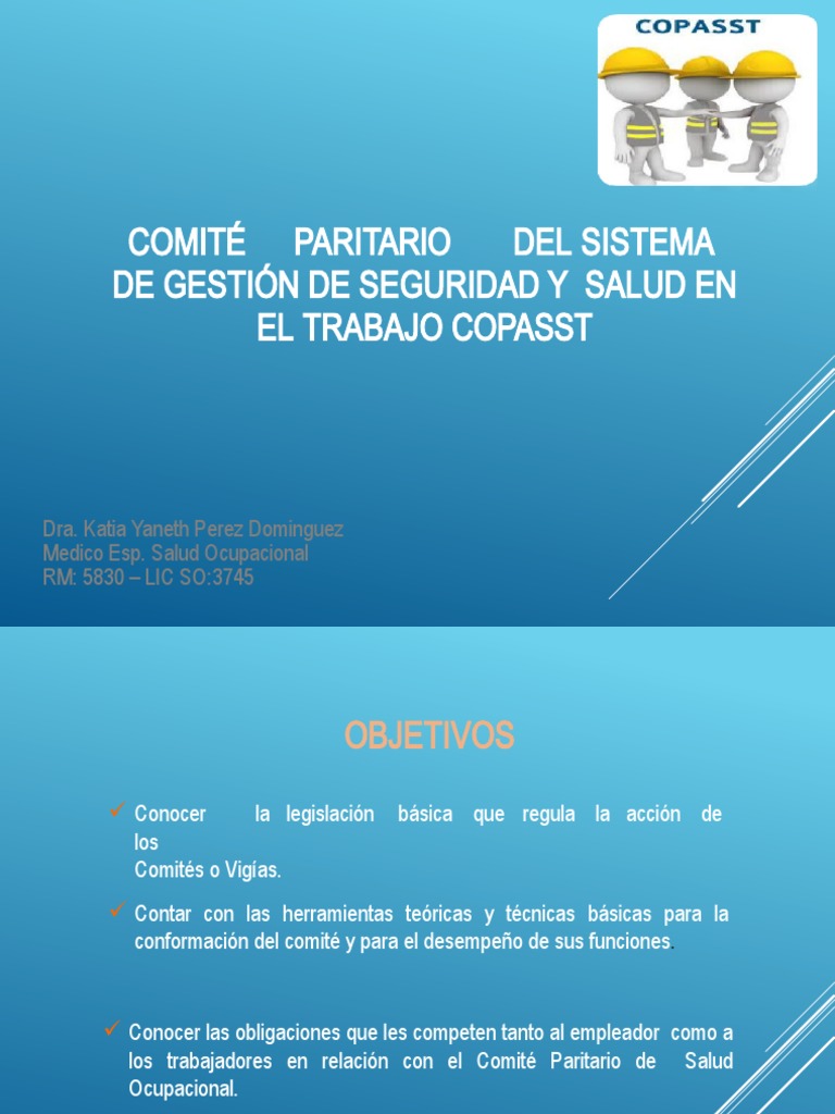 Guía sobre el COPASST en Colombia | PDF | Seguridad y salud ocupacional