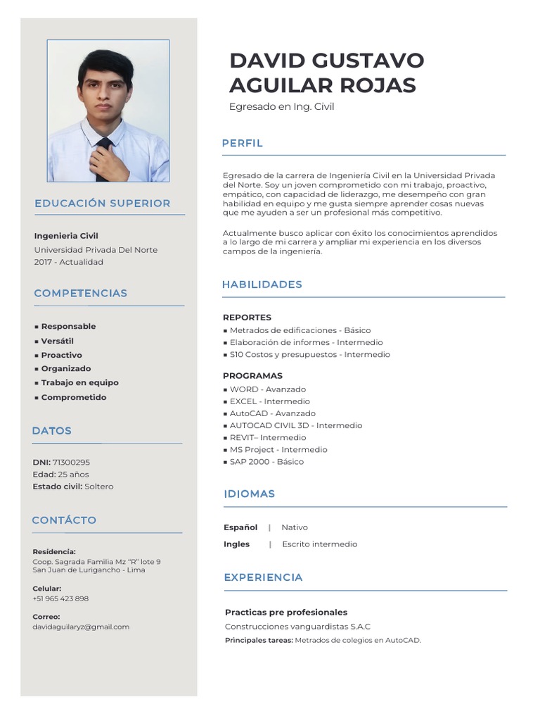 CV - David Aguilar Rojas | PDF | Crecimiento personal y profesional