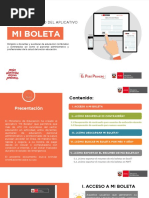 Guia Boletas Electrónicas | PDF