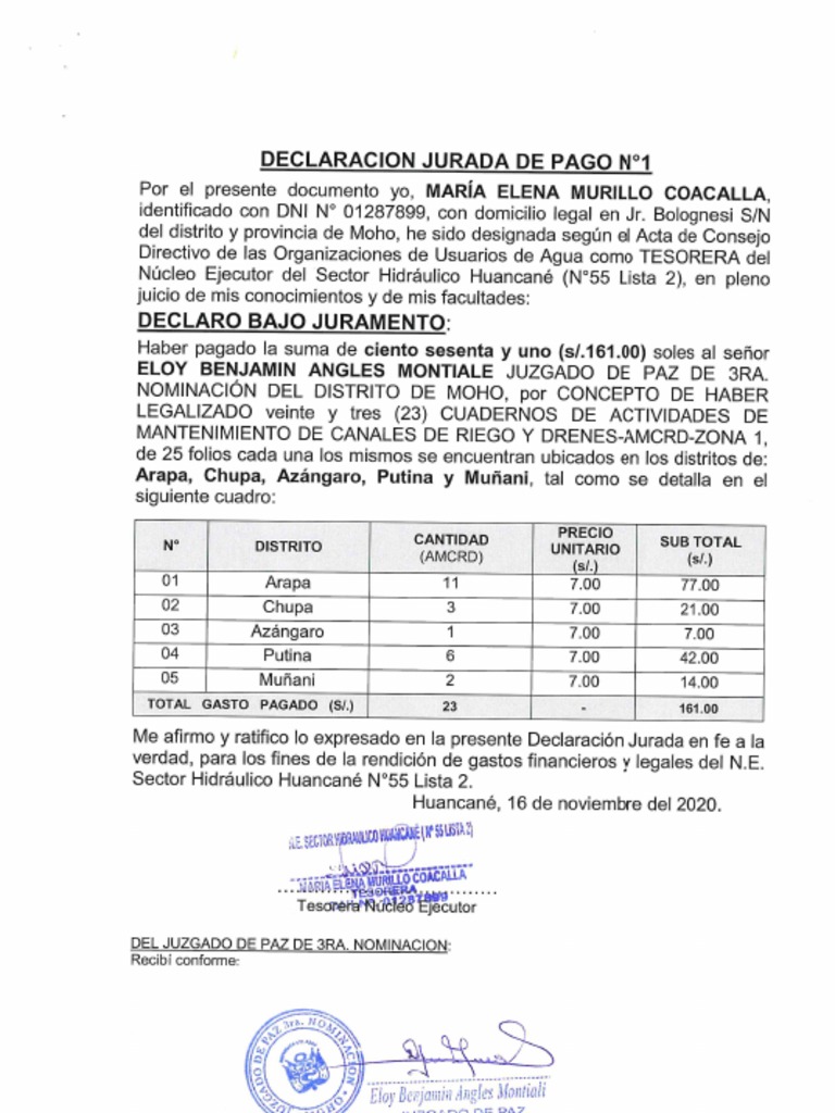 Declaracion Jurada | PDF