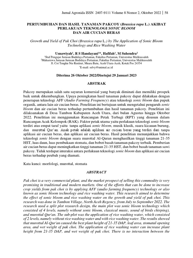 Selvy | PDF