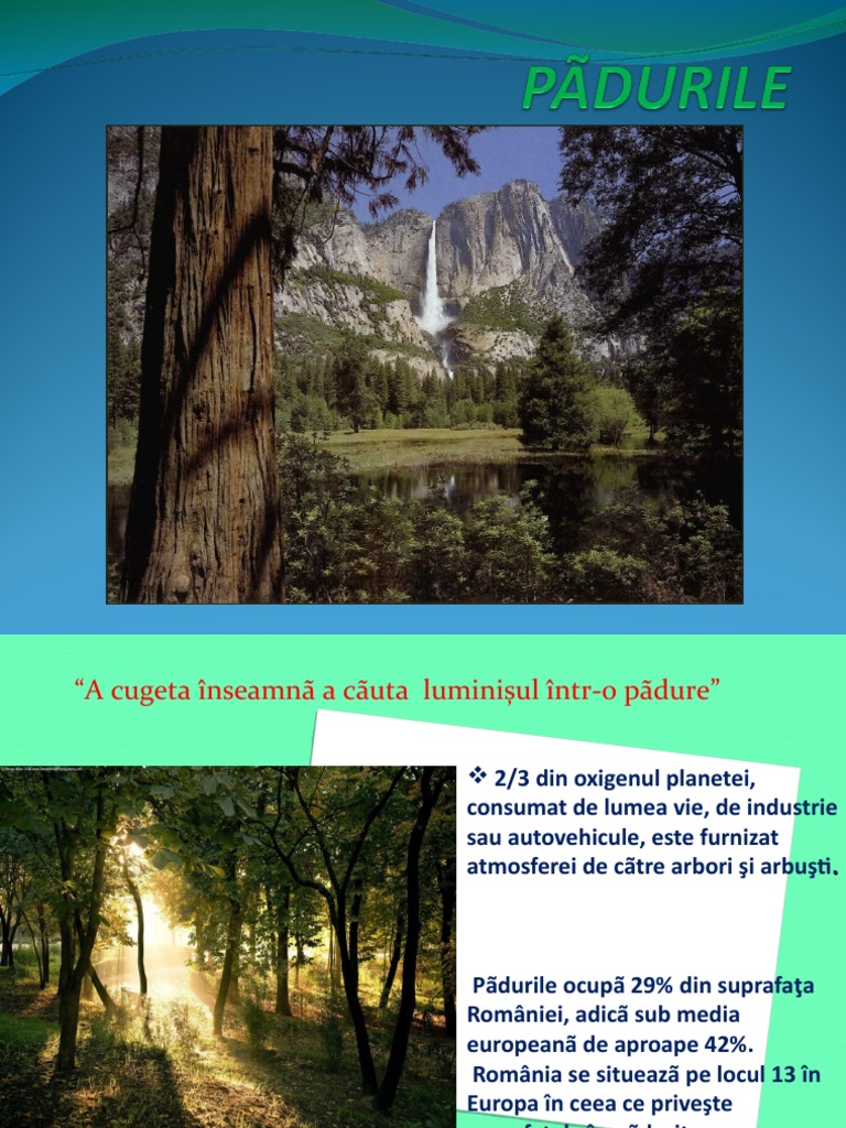 Paduri | PDF