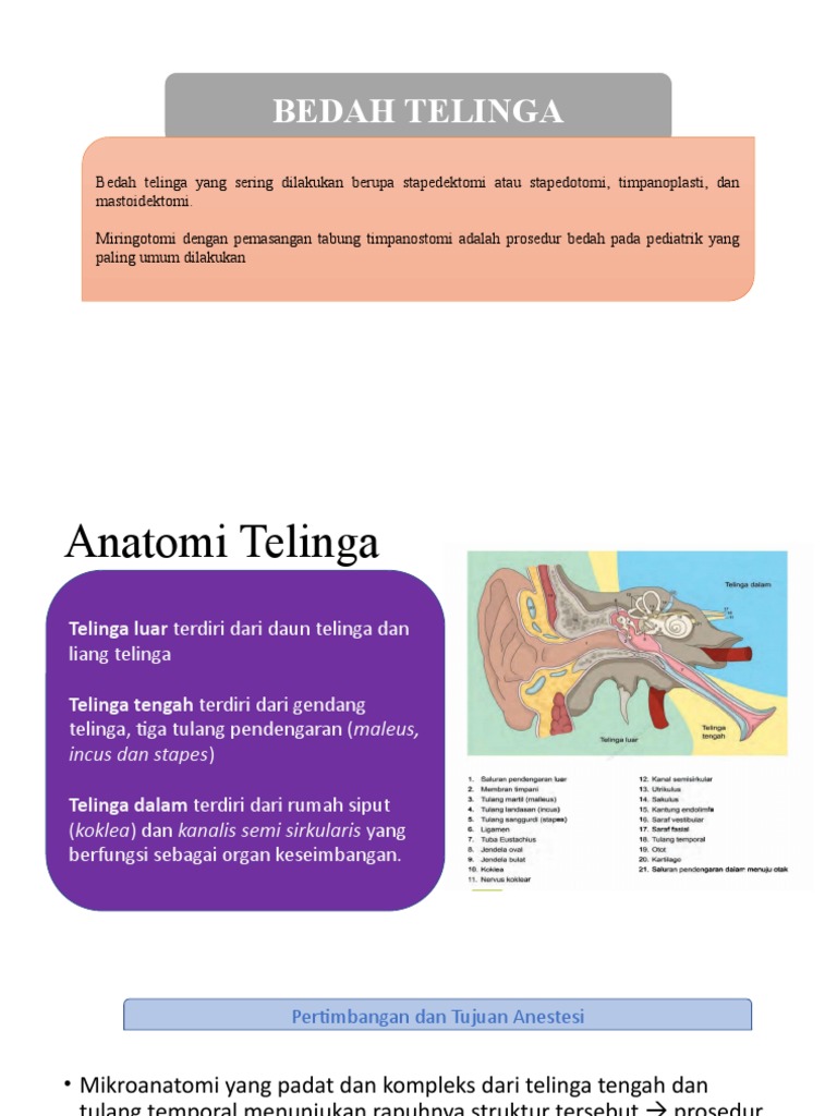 Bedah Telinga | PDF
