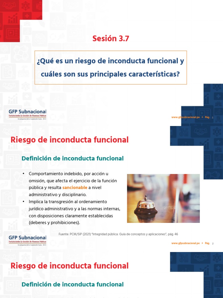 Caracterización del riesgo de inconducta funcional | PDF | Etica Aplicada | Gobierno