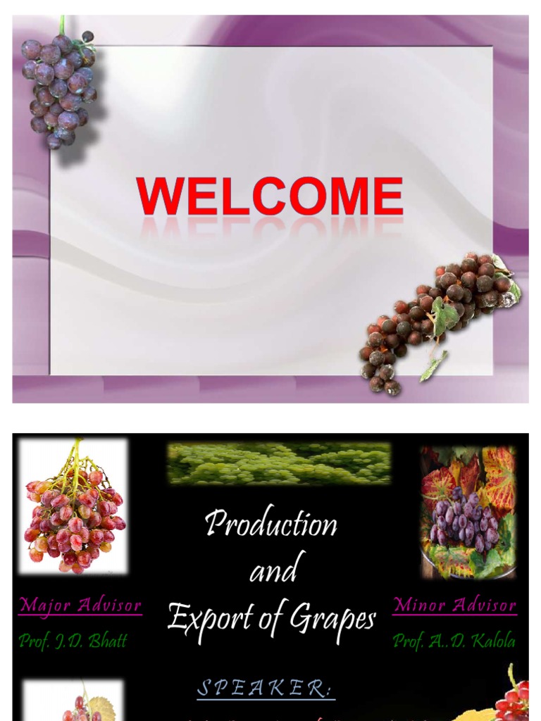 Production and Export of Grapes | PDF | Grape | Hazard Analysis And ...