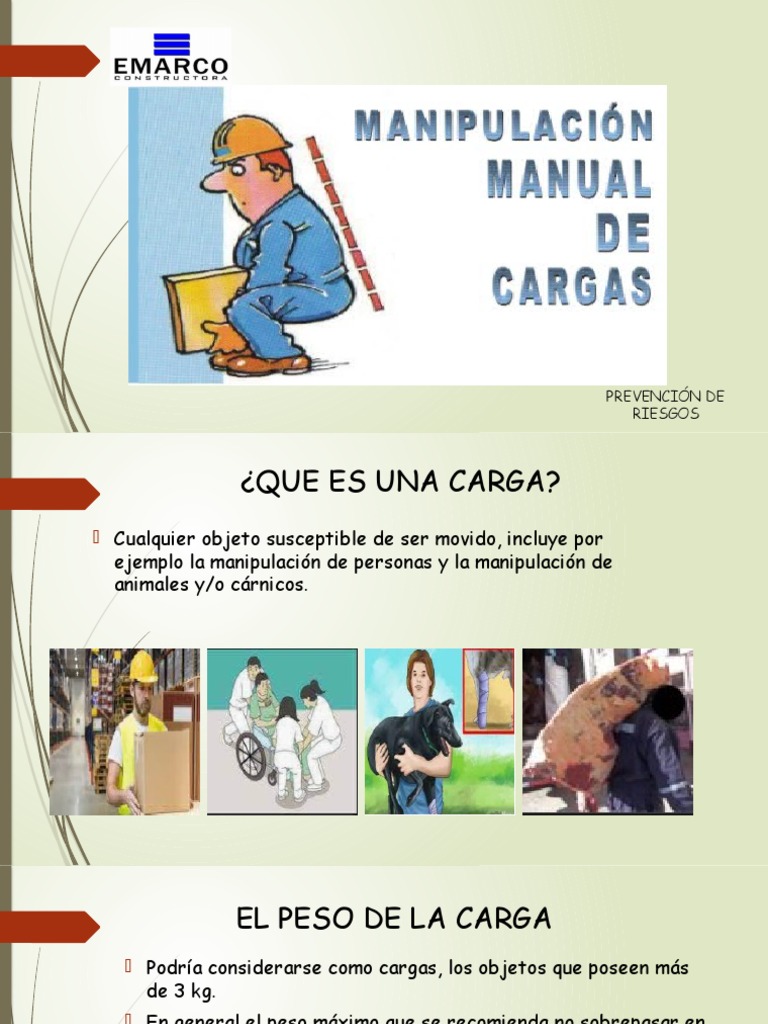 Manejo Manual de Carga | PDF