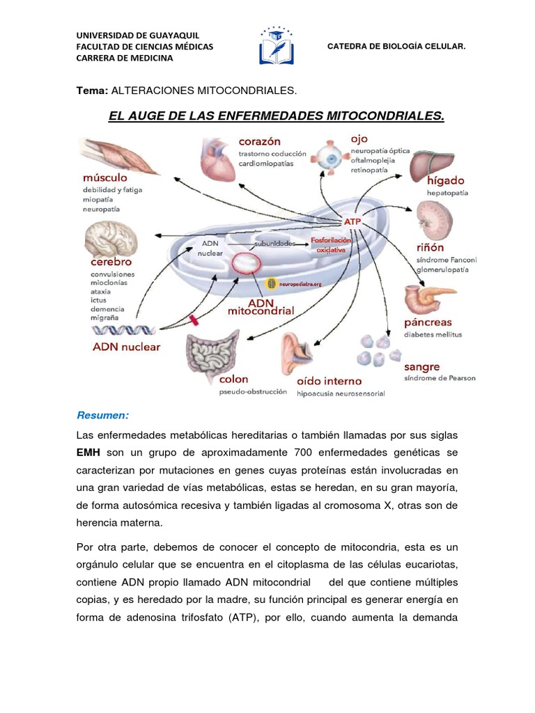 El Auge de Las Enfermedades Mitocondriales | PDF | Mitocondria | Metabolismo