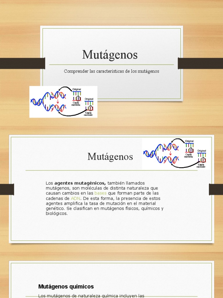 Mutágenos | PDF | Mutageno | Adn