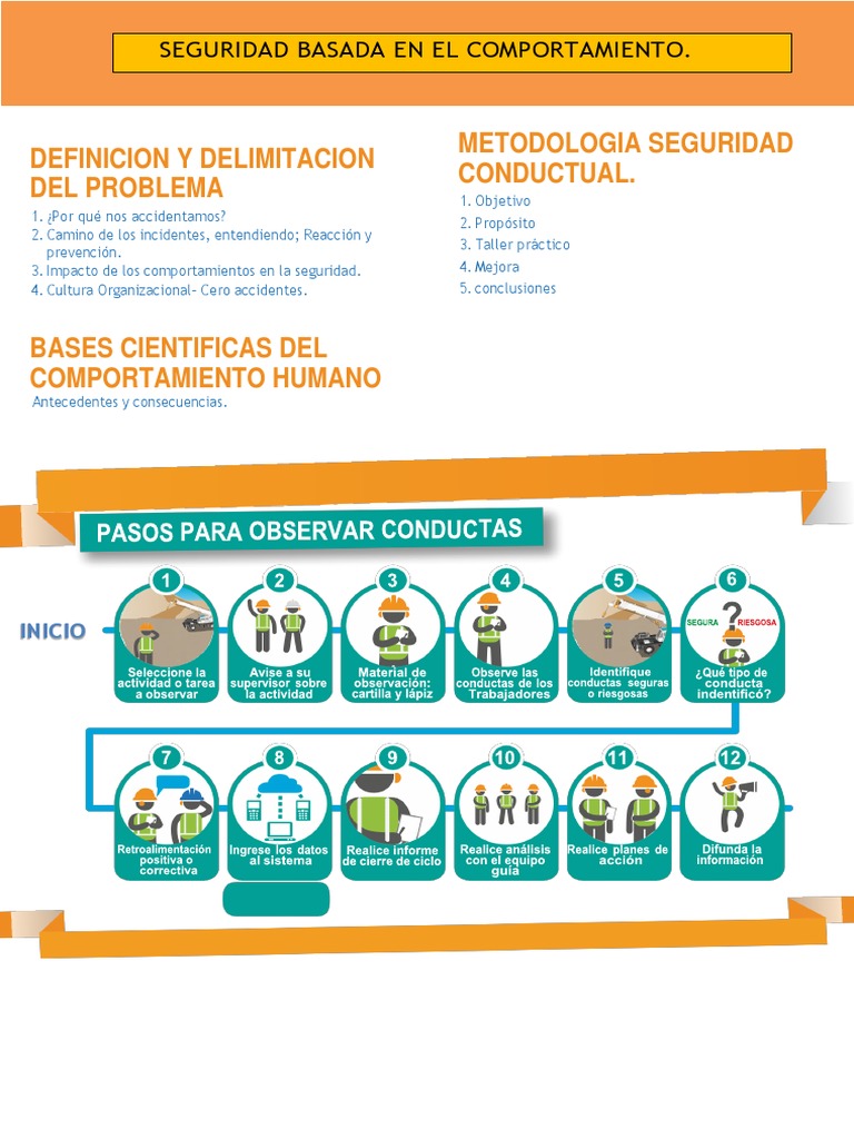 Seguridad Conductual | PDF