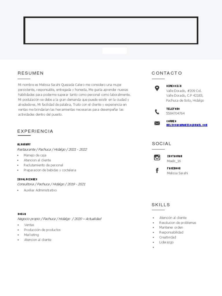 CV Melissa | PDF | Business