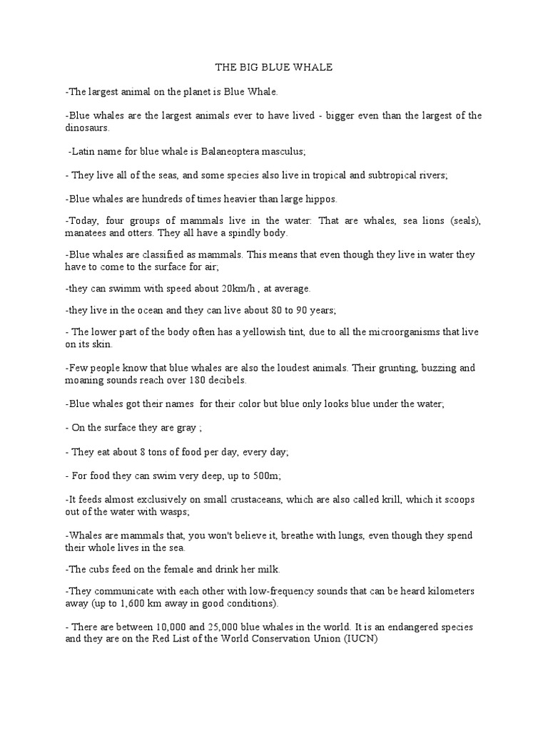 The Big Blue Whale 1 | PDF | Whales | Mammals