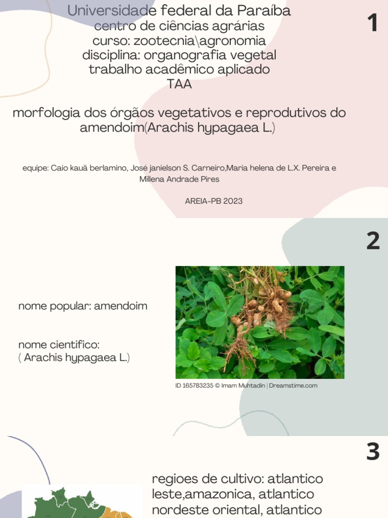 Equipe: Caio Kauã Berlamino, José Janielson S. Carneiro, Maria Helena de L.X. Pereira e Millena ...