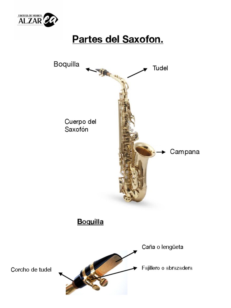 Partes Del Saxofon Alzar | PDF