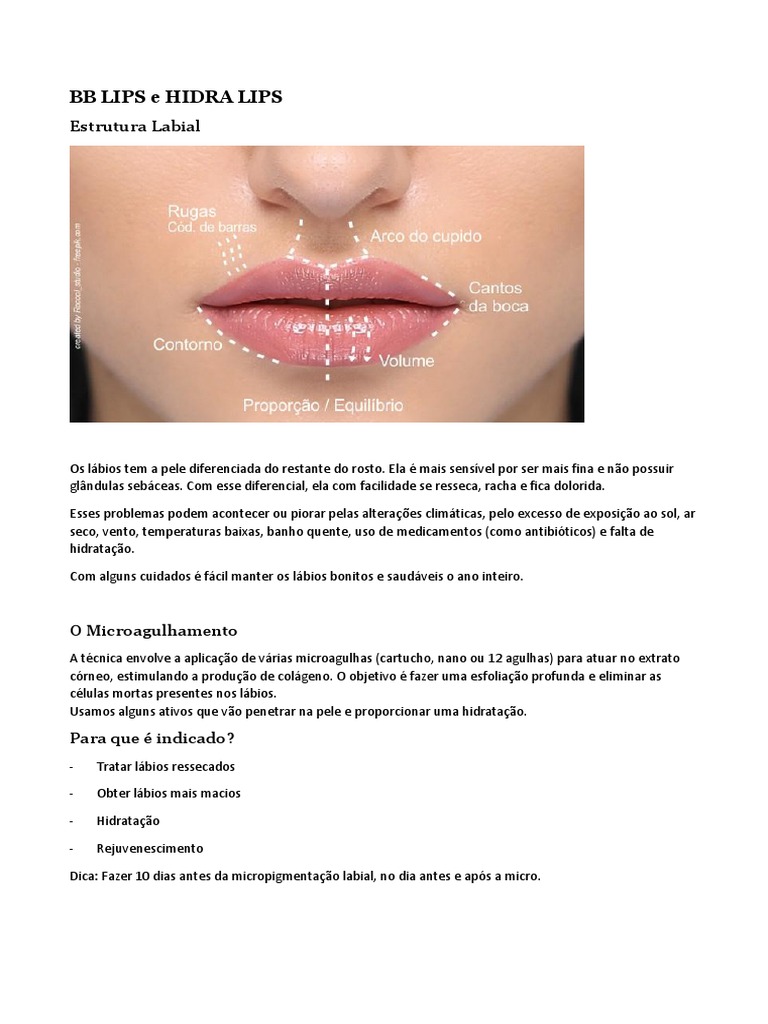 Apostila - BB Lips e Hidra Lips | PDF