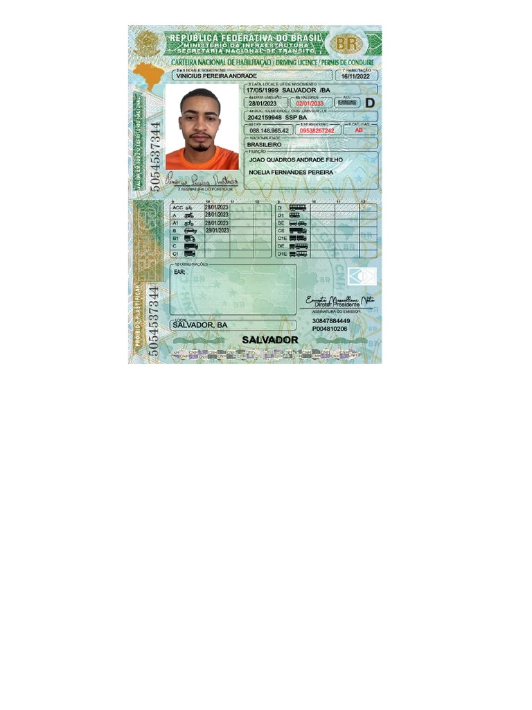 Brazilian National Identity Card Details for Vinicius Pereira Andrade | PDF