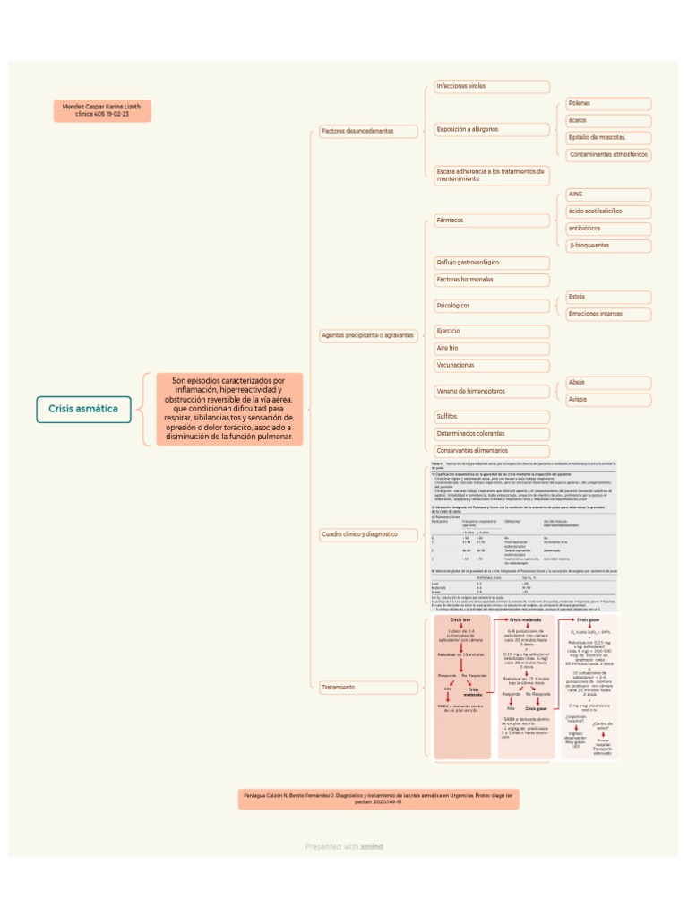 Mapa Conceptual Crisis Asmática | PDF | Asma | Inmunología