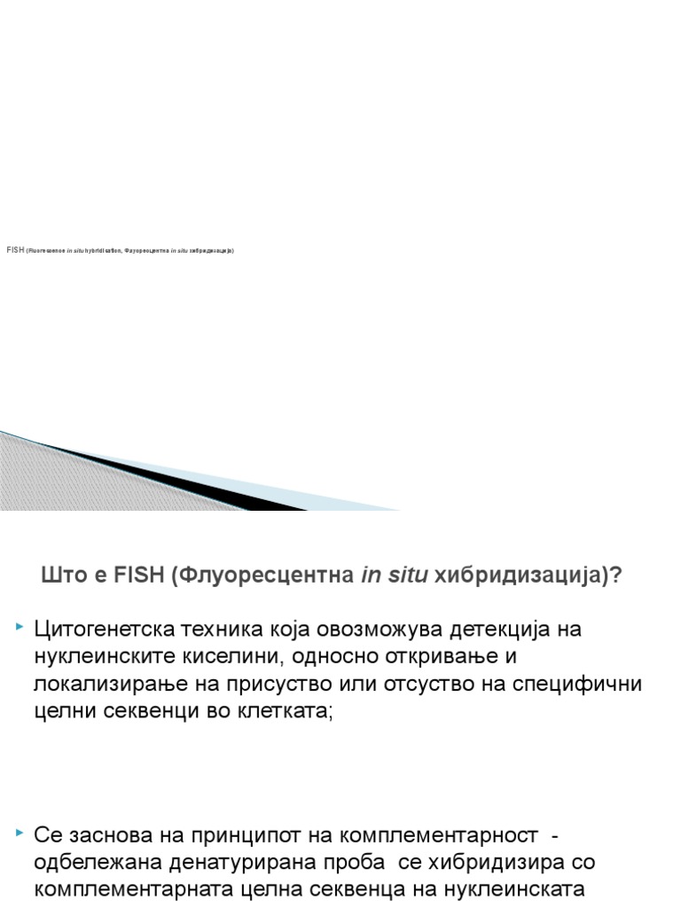 Fish | PDF