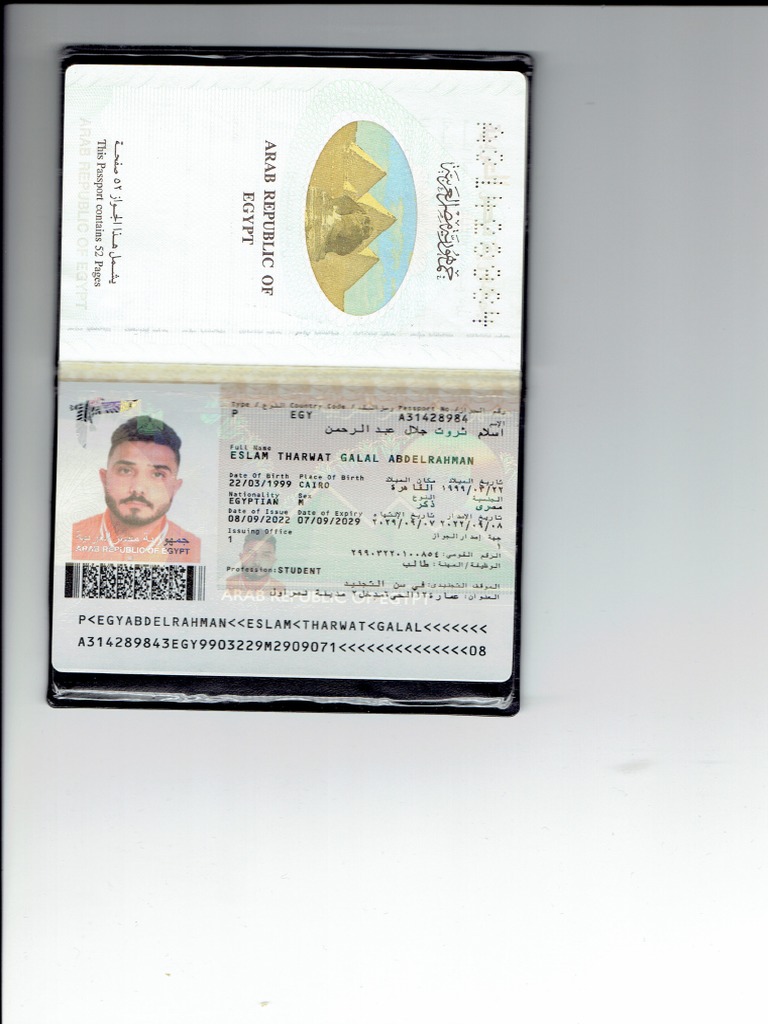 Reisepass + Visum | PDF