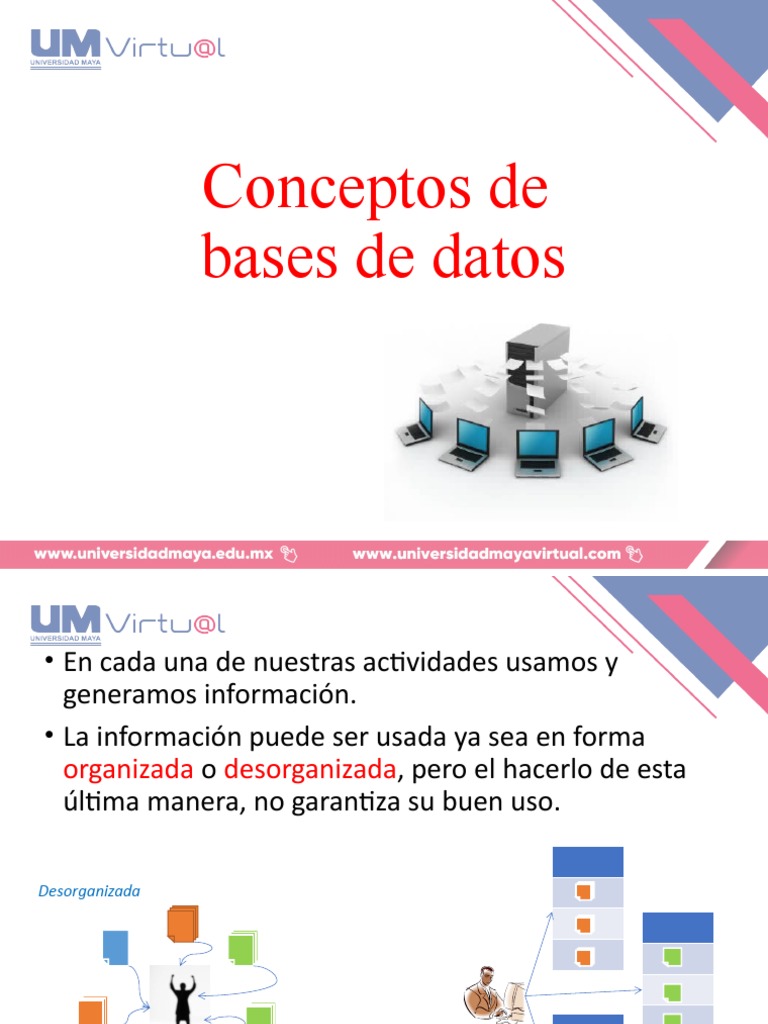 Conceptos clave de bases de datos | PDF | Bases de datos | SQL