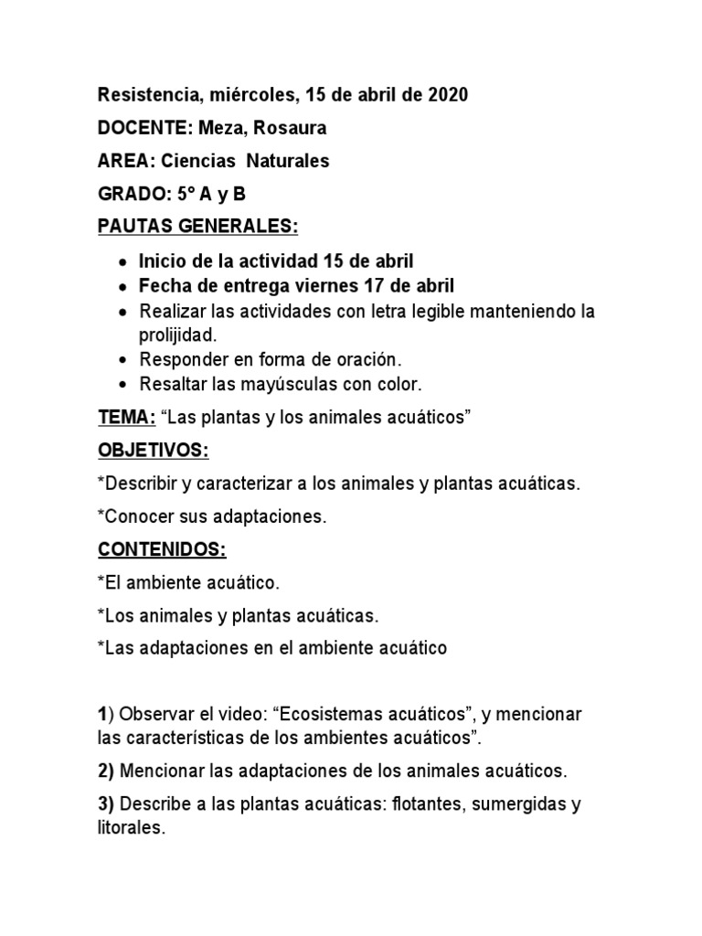 Actividades 5to Grado | PDF